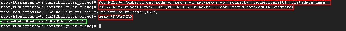 Nexus Repository Installation On Kubernetes Cluster - HAFİF BİLGİLER